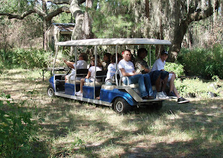 Camp Bayou Nature Notes: Camp Bayou this Winter