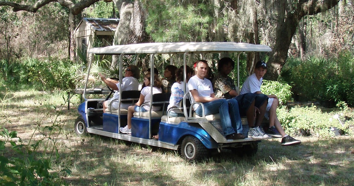 Camp Bayou Nature Notes: Camp Bayou this Winter