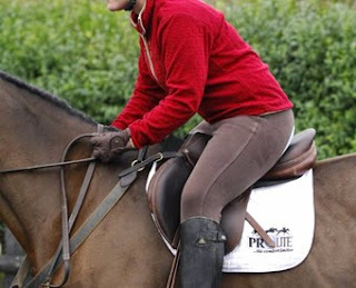 Horse Riding Advice: Get the perfect show jumping position