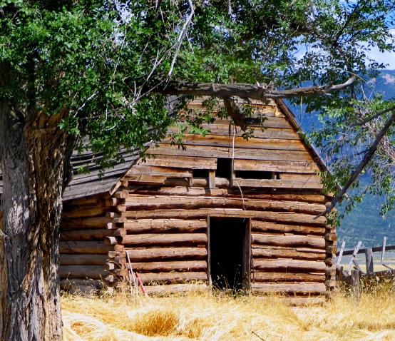 Pilgrims and Pioneers: Old Cabins- A Pictorial