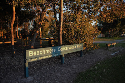Beachmere Conservation Park