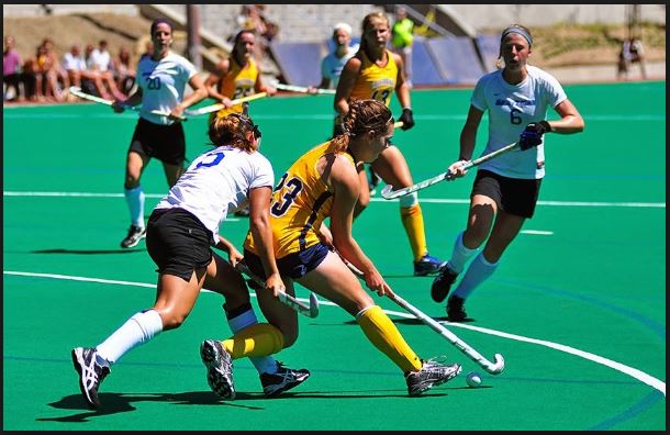 Pengertian, Sejarah dan Teknik Olahraga Hoki - Macam-Macam Istilah