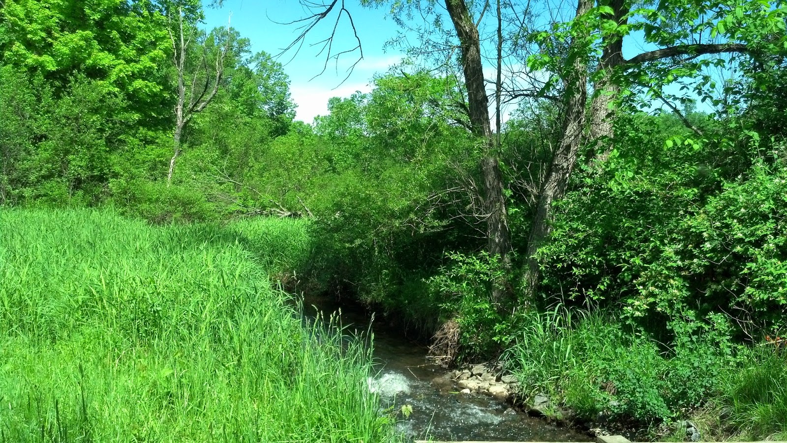 Clifton Park Open Spaces: 2014 Nature & Open Space Photo Contest