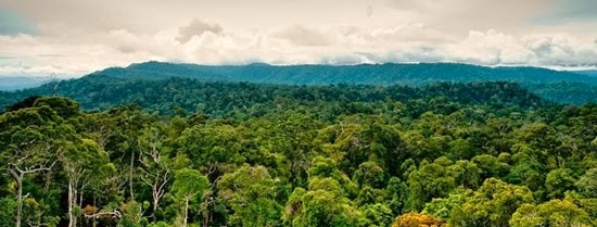 Renjer hutan Sabah kongsi kisah misteri | Sabah Report
