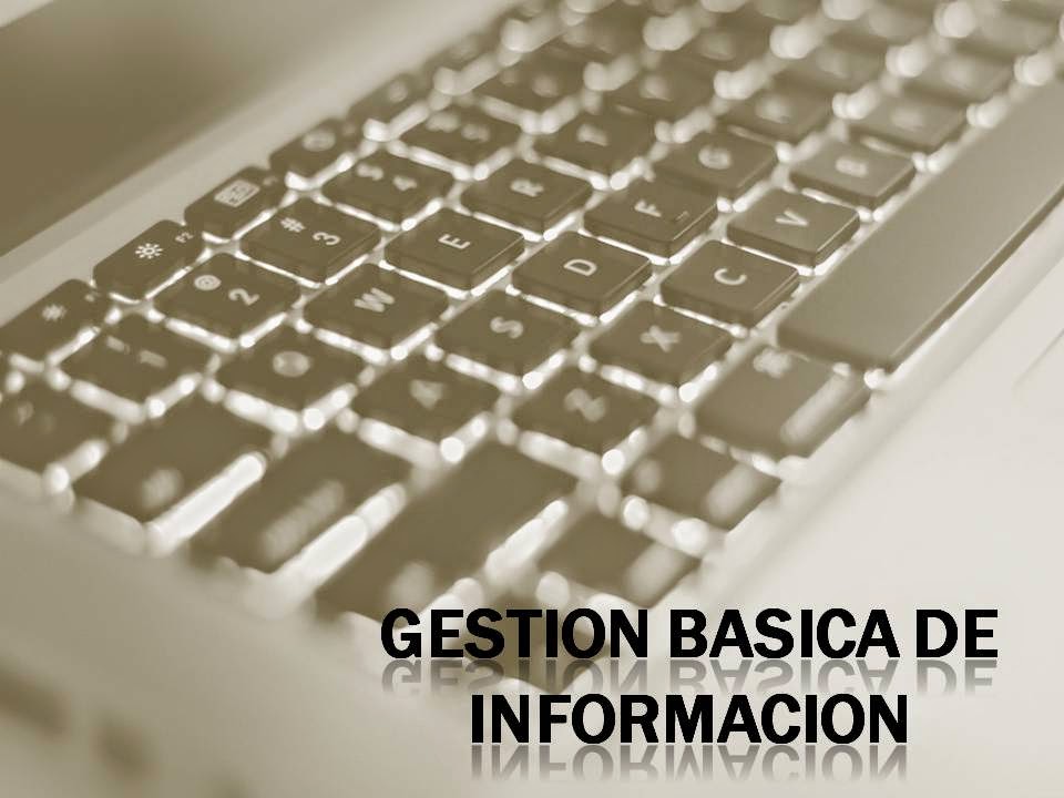 GESTIÓN BÁSICA DE INFORMACION: GESTIÓN BÁSICA DE INFORMACIÓN