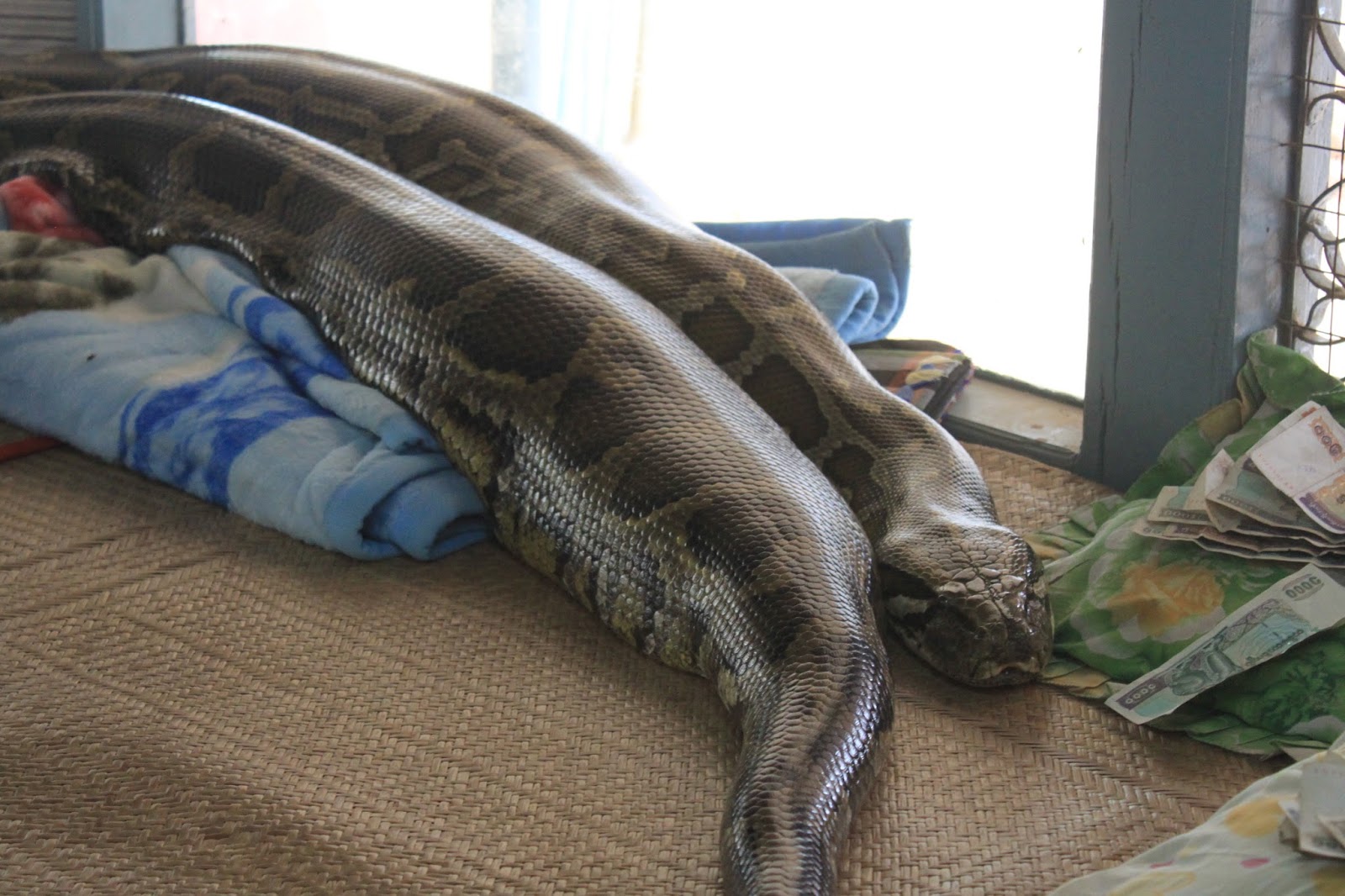 Travel Myanmar: Day Trip Outside Yangon - Bago