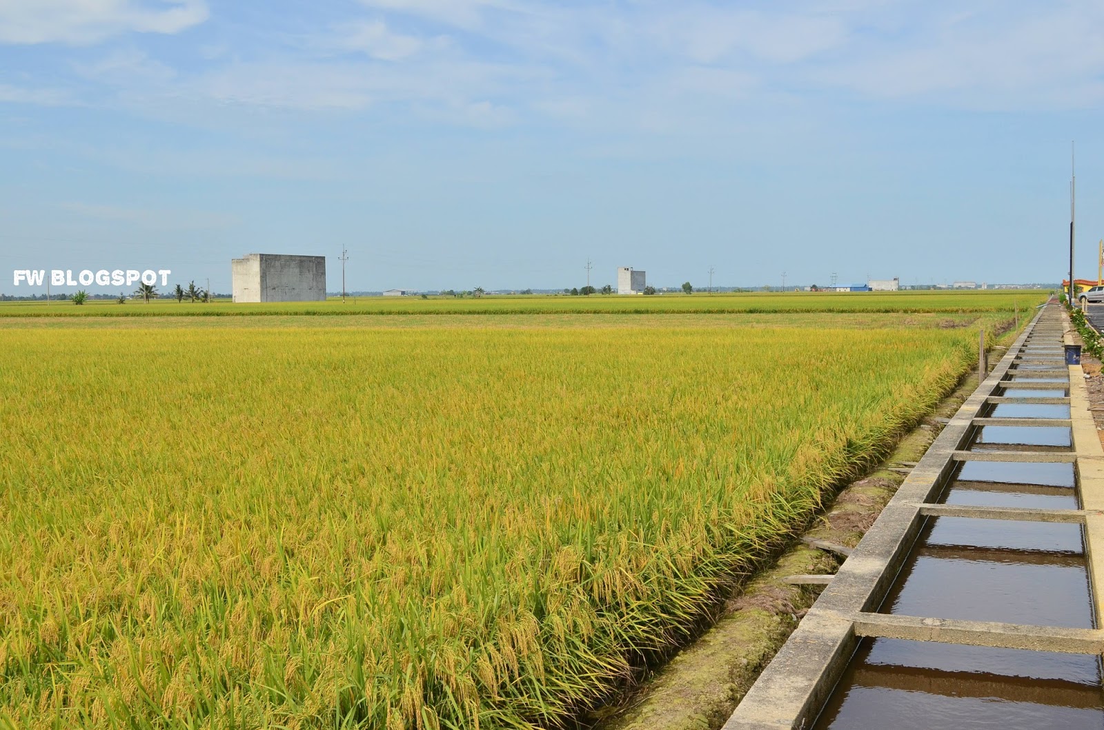 FW Othman: Road-trip to Sekinchan, Kuala Selangor