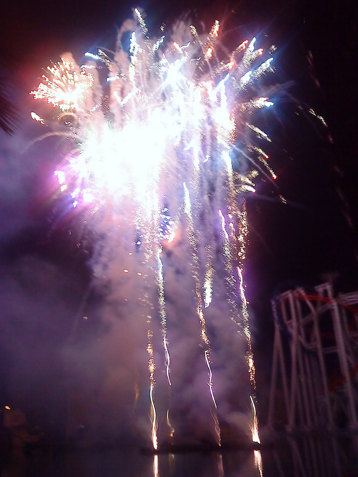 Lychees From Leechie: Lights, Camera, Action!!!