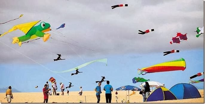 Telde Habla: Burros volando en Corralejo