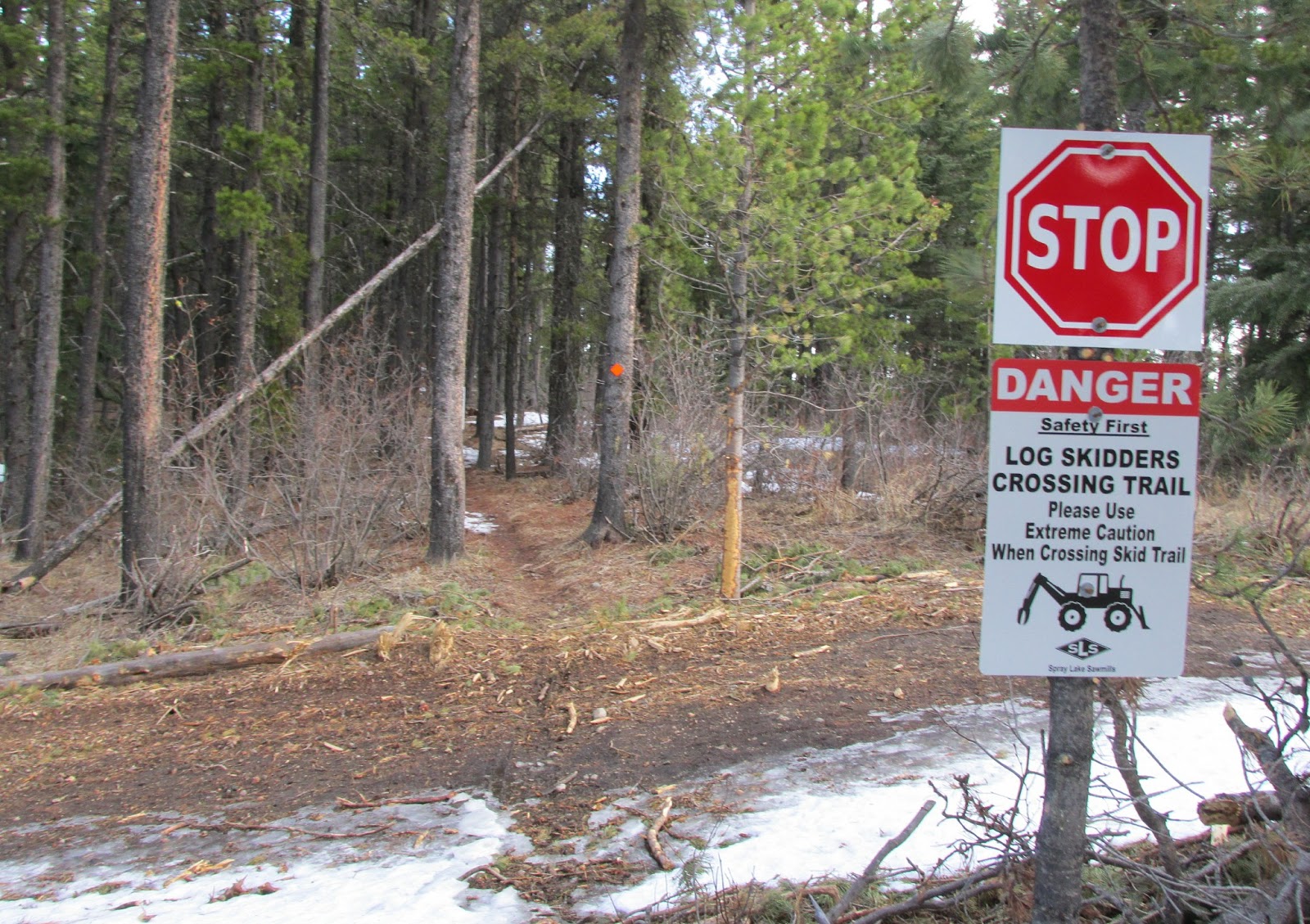 The Passionate Hiker: Long Distance Trail: Logging Pictures