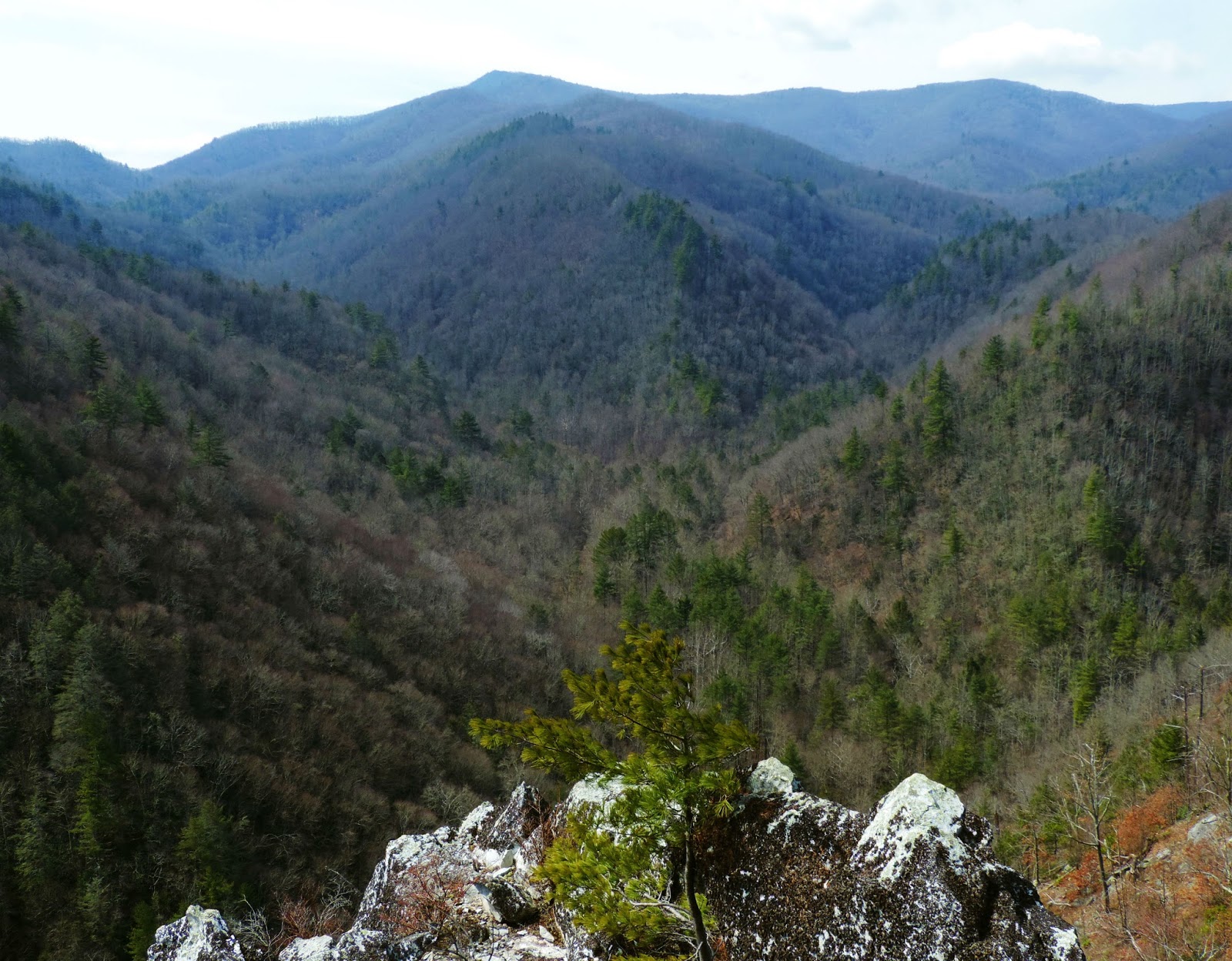 Far Outside the Wire: Whitehouse Mountain Cliffs, TN