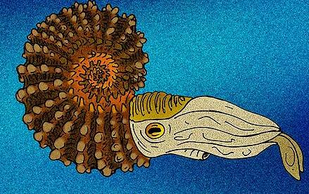 Los animales en la prehistoria: mayo 2013