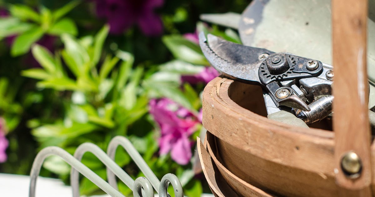 Hand Tools You Need to Be a Successful Gardener | anderson + grant