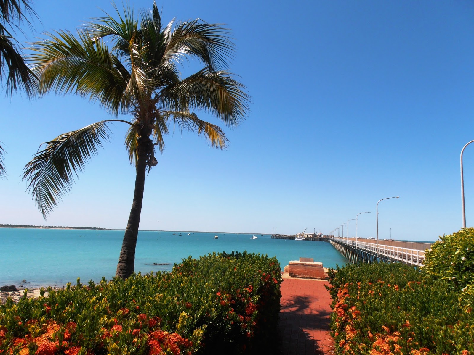 The Clarke's Aussie Adventure: 19 April 2013 - Palm Grove Tourist ...