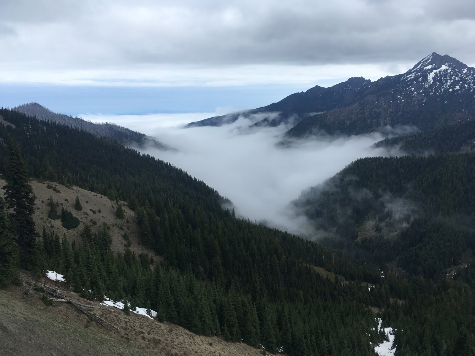 Olympic National Park; Hurricane Ridge and the Hurricane Ridge Road