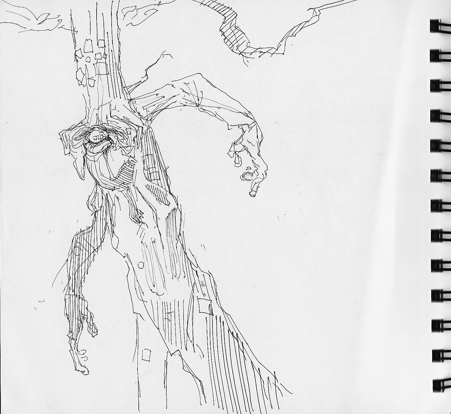 Missngomer Productions: Tree King Variations