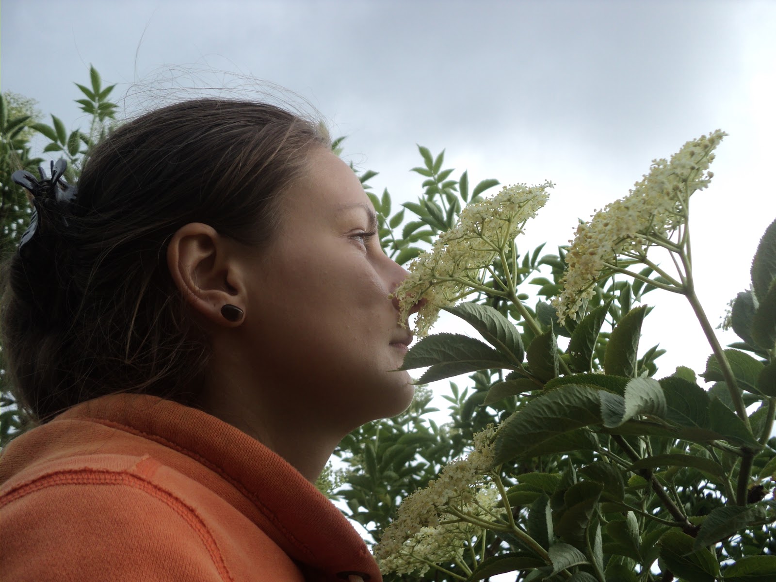 naturalete si firesc: Miresme de menta si floare de salcam, maces, si soc