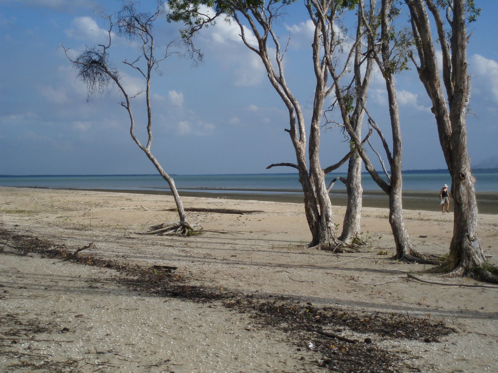 Sailing North: Port Musgrave to Weipa