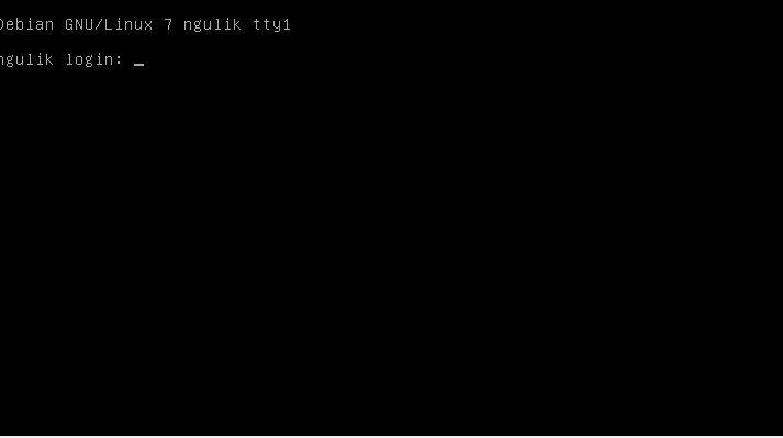 Install Debian 7 Command Line Interface CLI - ngulik ngulik aja