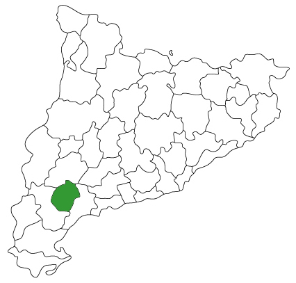 Visitant Comarques: Visita a Falset - El Priorat