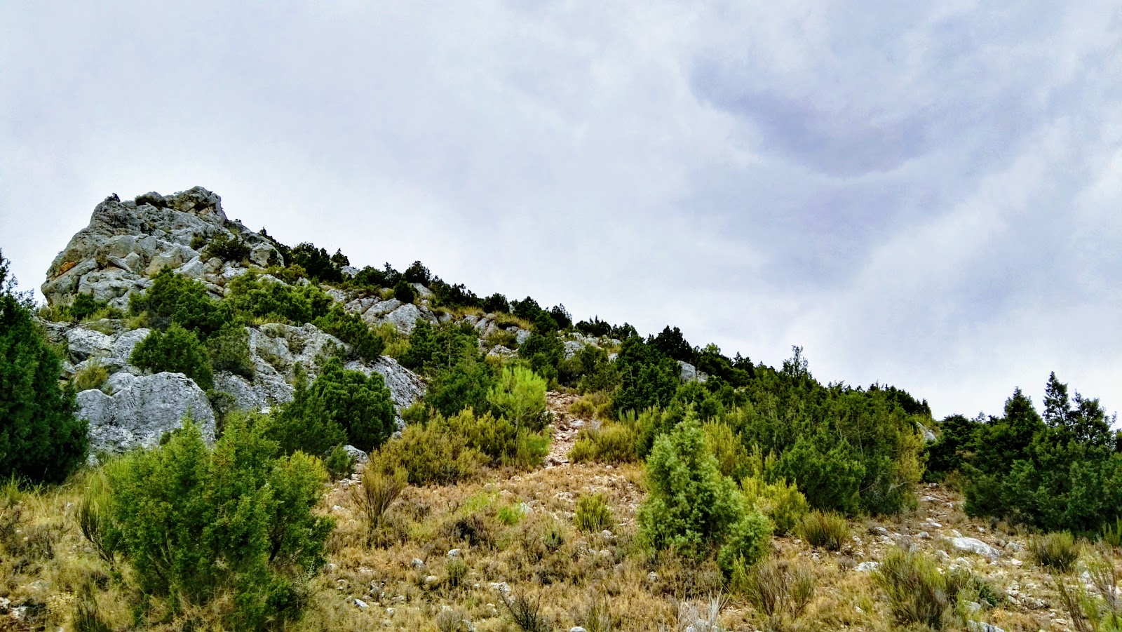 Nerpio: El poblado íbero del cerro del Macalón ~ 40 rutas