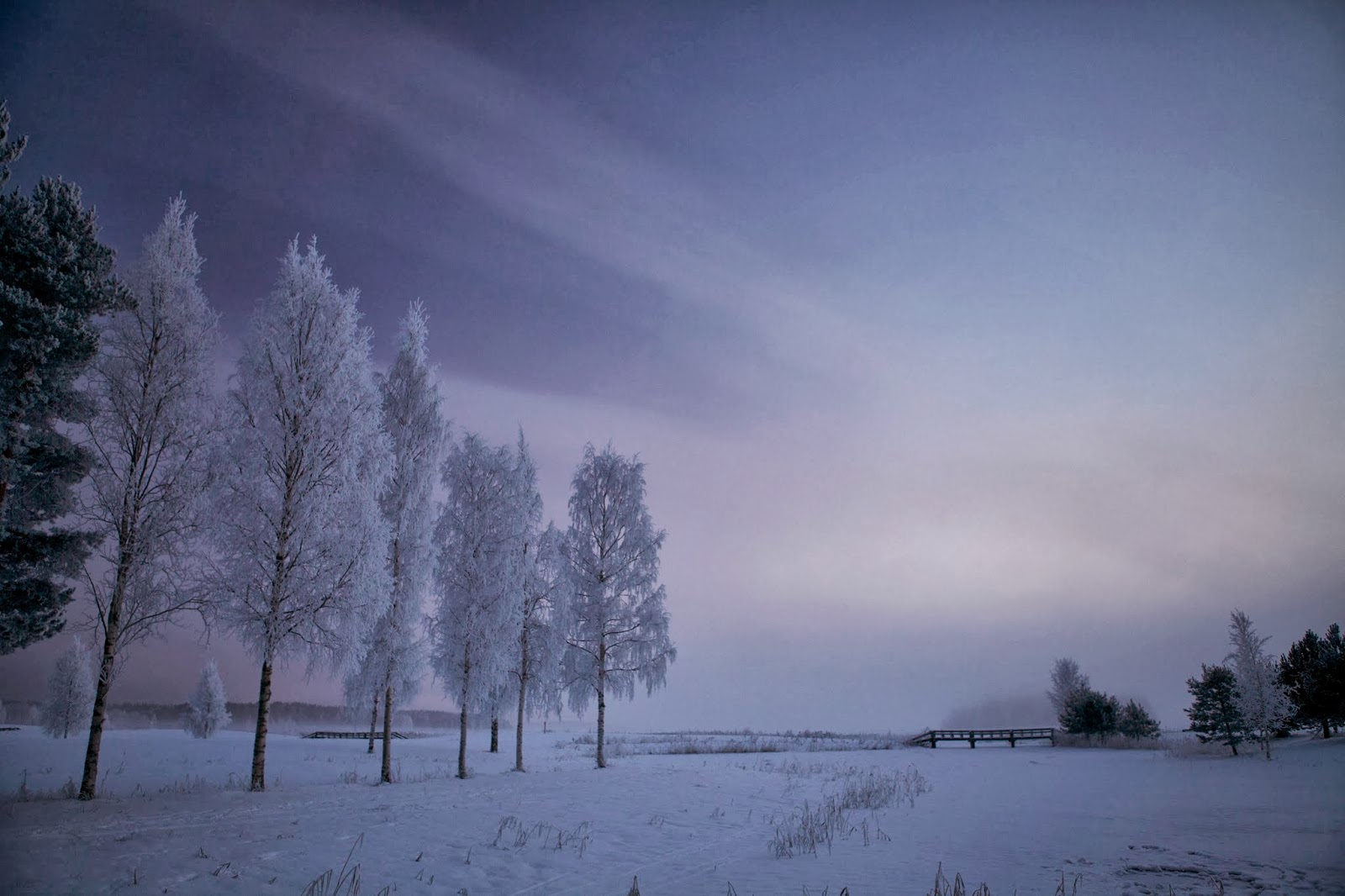 Finland from a Teacher's Perspective: This is the Beauty of Finland