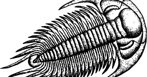 vector engraving: Trilobite
