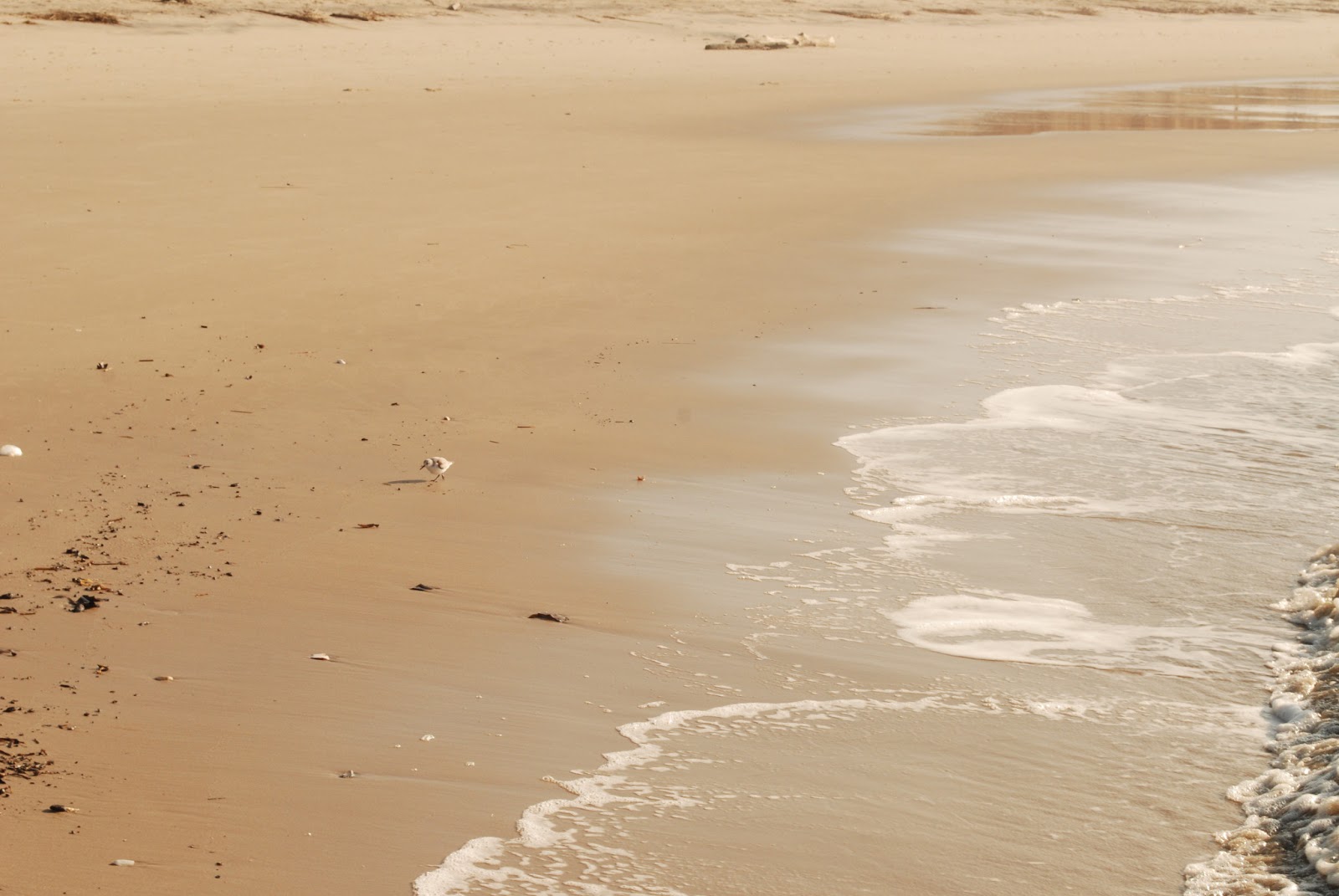 Margaret Montet: This is what low tide looks like in winter