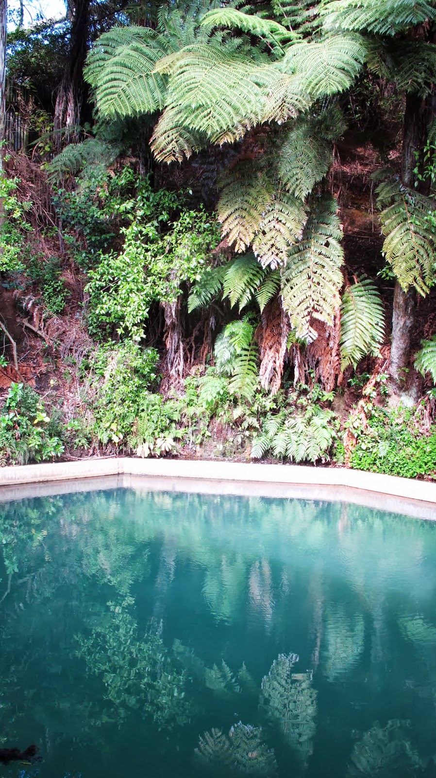 Historic Hotels of New Zealand: Okoroire Hot Springs Hotel - Okoroire