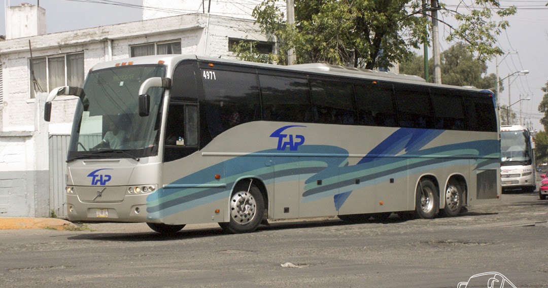 MAXIBUSES: TRANSPORTES Y AUTOBUSES DEL PACÍFICO (TAP)