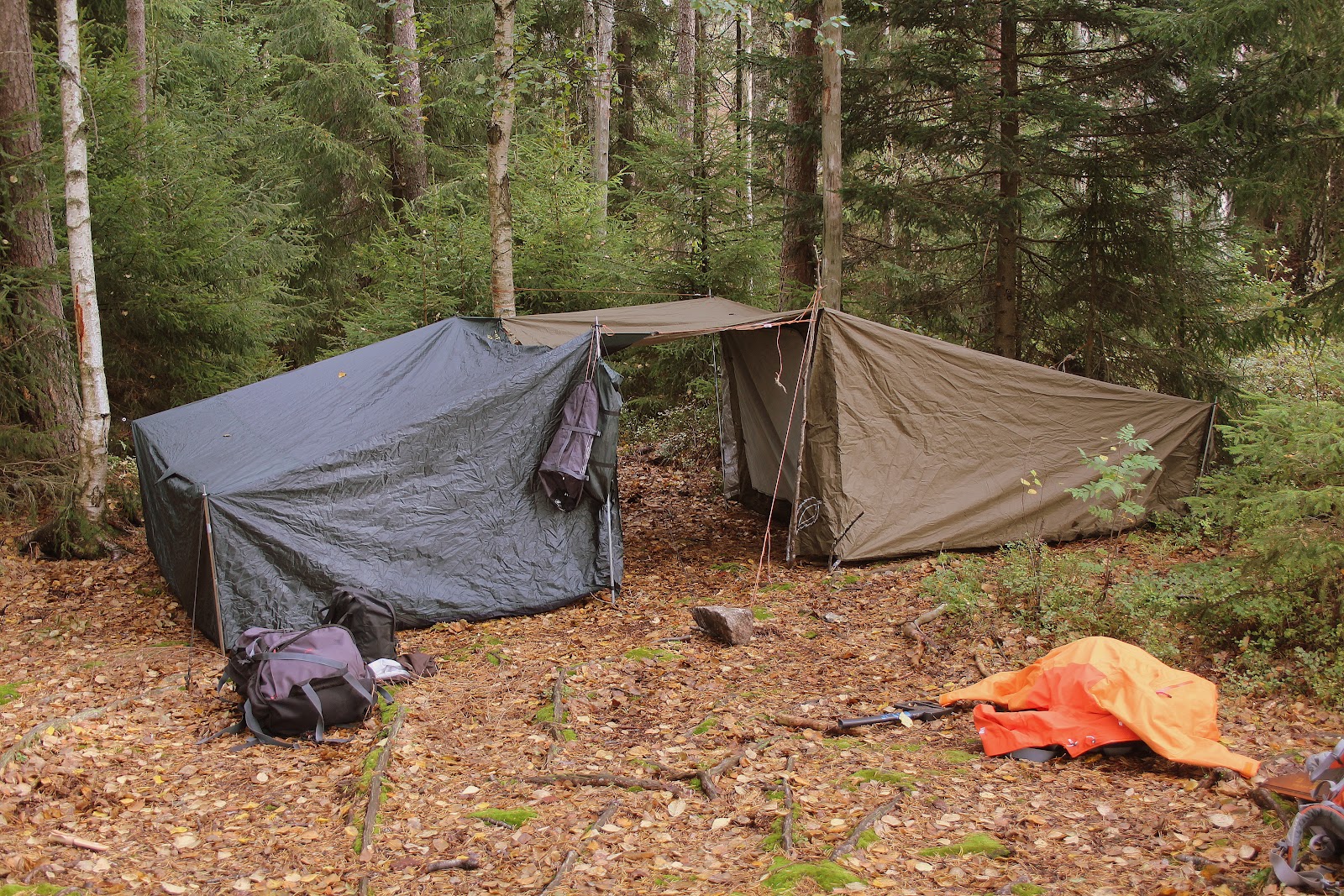 Scoutlife: Gaselli vartion syysretki