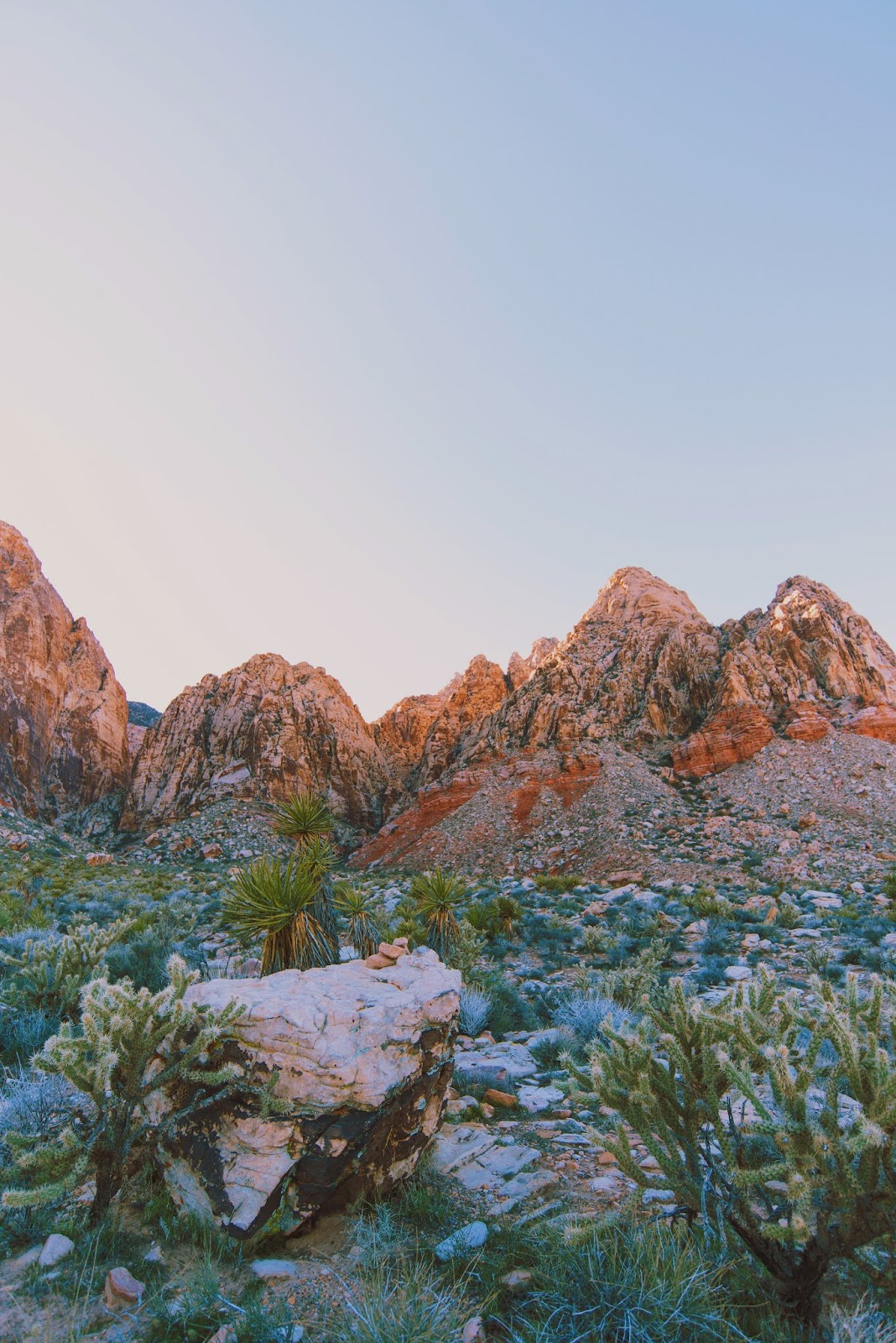 Lavender Hush - mynnsan