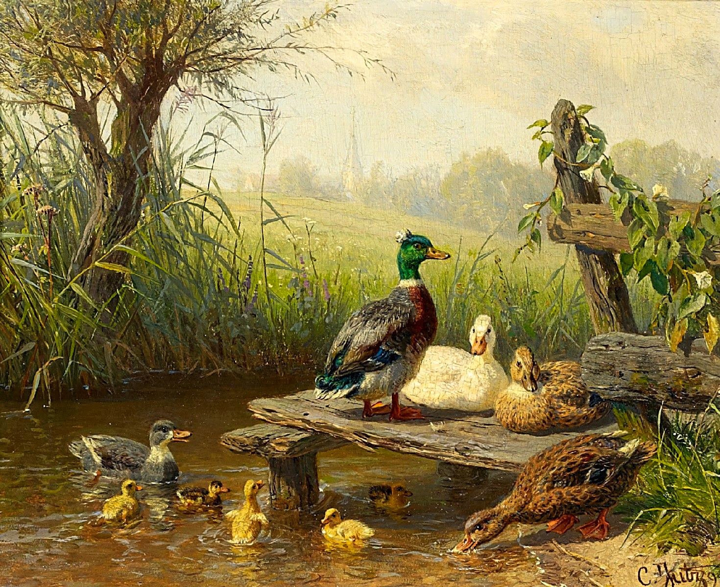 Viático de Vagamundo: Ducks by Carl Jutz the elder
