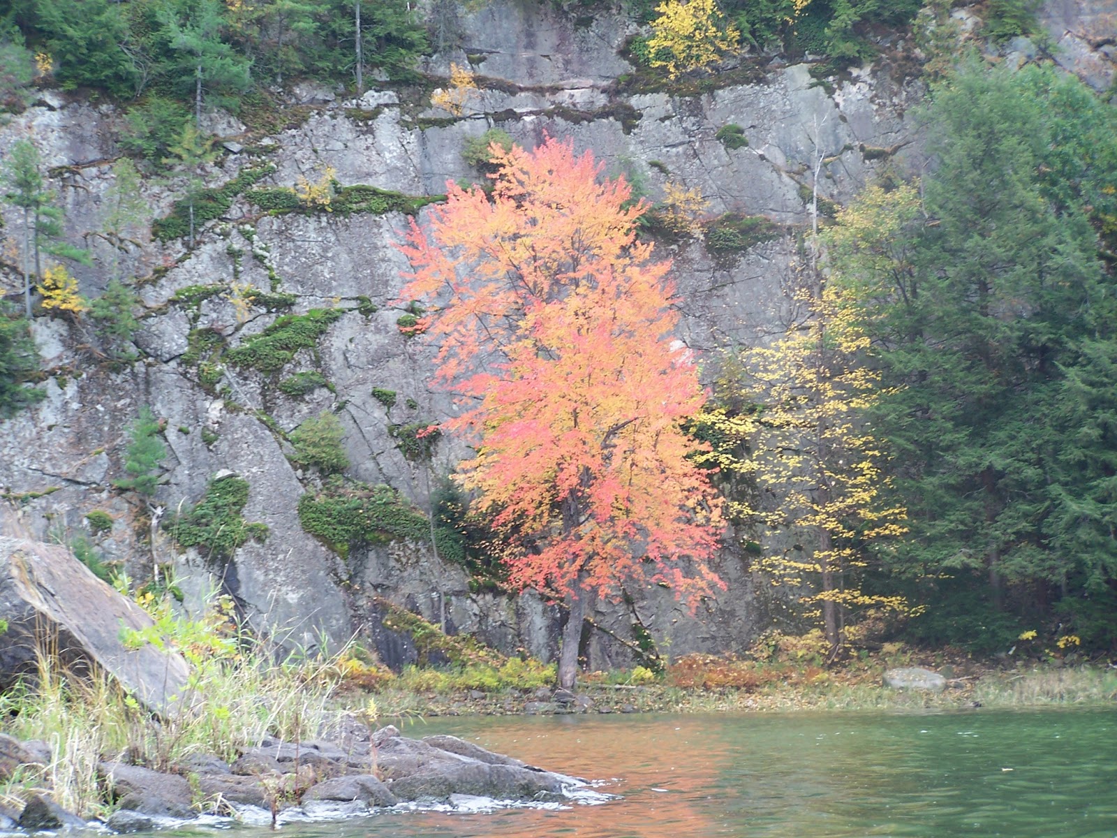 Quiet Kayaking in New York State: Red Lake and Indian River May 2013