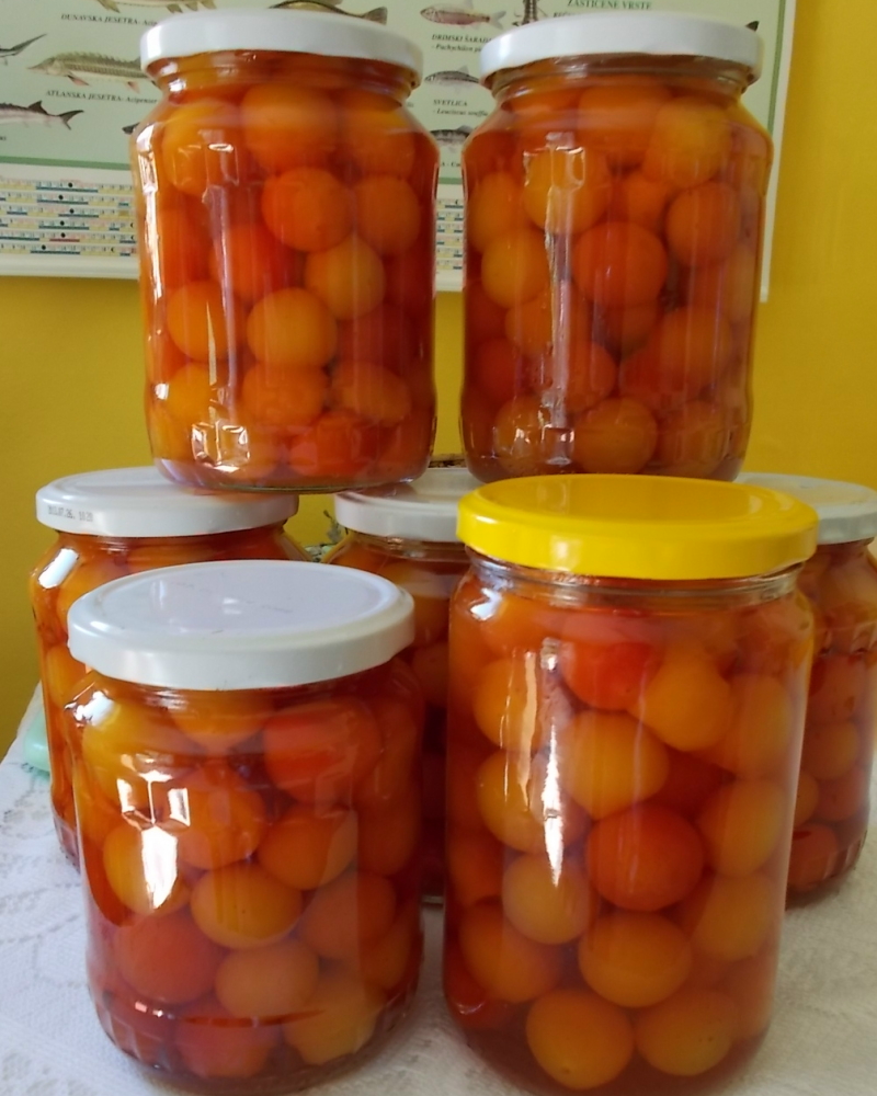 Túlélések: Vad Ringló I. - Befőtt