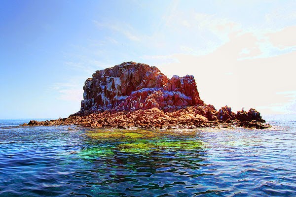 Las islas del Mar de Cortés, Patrimonio de la Humanidad - Revista Coma