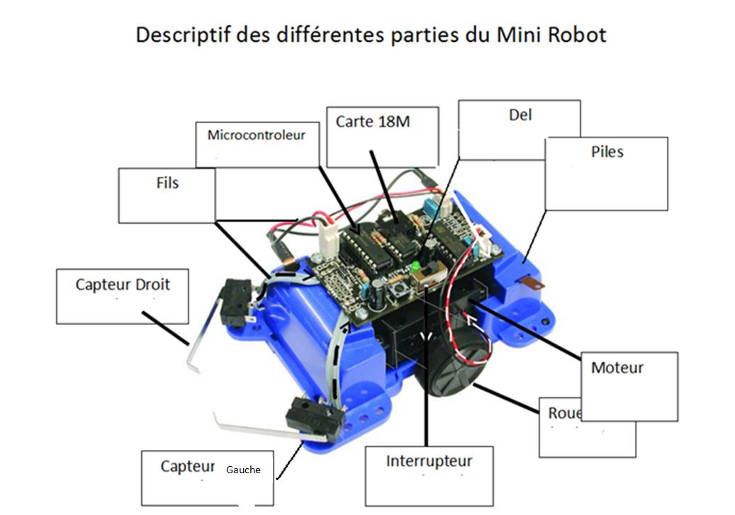 Technologie au collège Croix Maître Renault: B2 minirobot