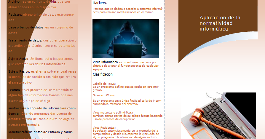 aplicacion de la normatividad informatica