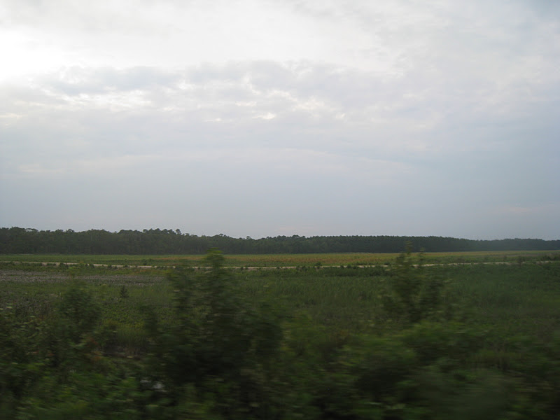 North Carolina Hikes: Alligator River National Wildlife Refuge (Red ...