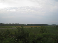 North Carolina Hikes: Alligator River National Wildlife Refuge (Red ...