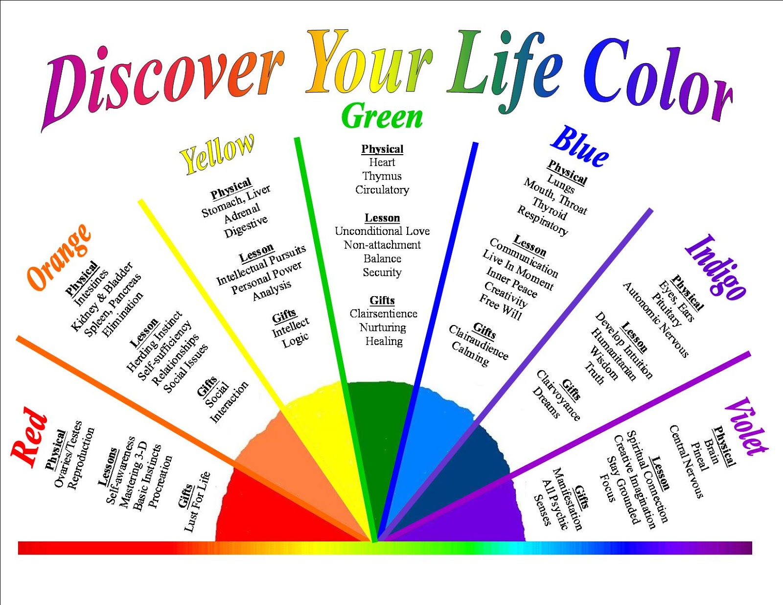 Kleurvitality : Color Your Life