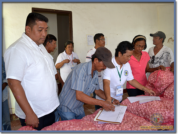 Bayan ng Cabugao: MAIMULA A BUKEL TI BAWANG, NAITED KADAGITI GARLIC GROWERS