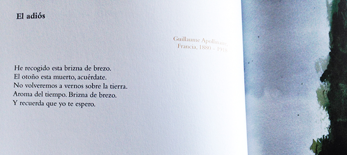 Un Rincón Singular: La poesía de los árboles