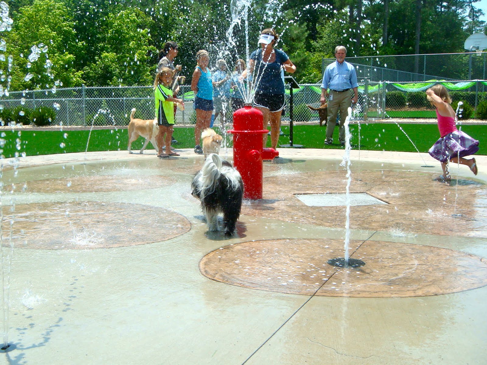 To Dog With Love: Beneful Dream Dog Park Opening Day!