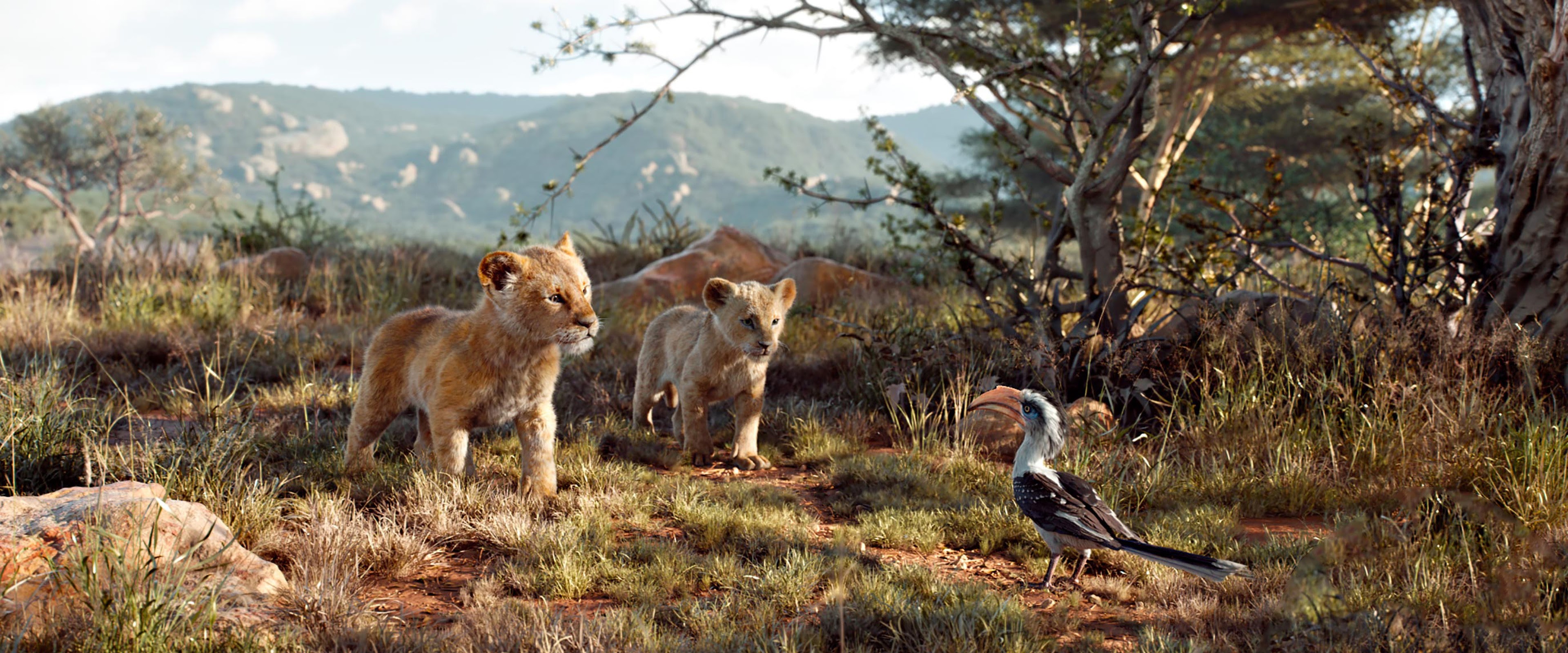 The Lion King, 2019, Simba, Nala, Zazu, 4K, #7 Wallpaper iPhone Phone