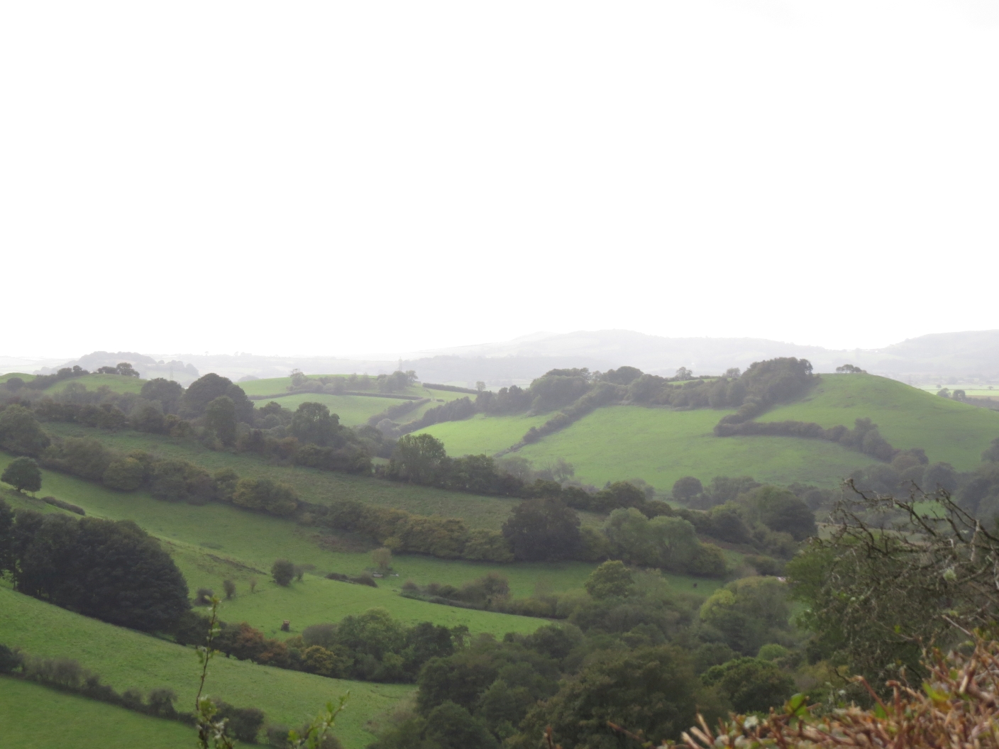 Walking Dorset's gridsquares: Beaminster to Loscombe - 30th September 2017