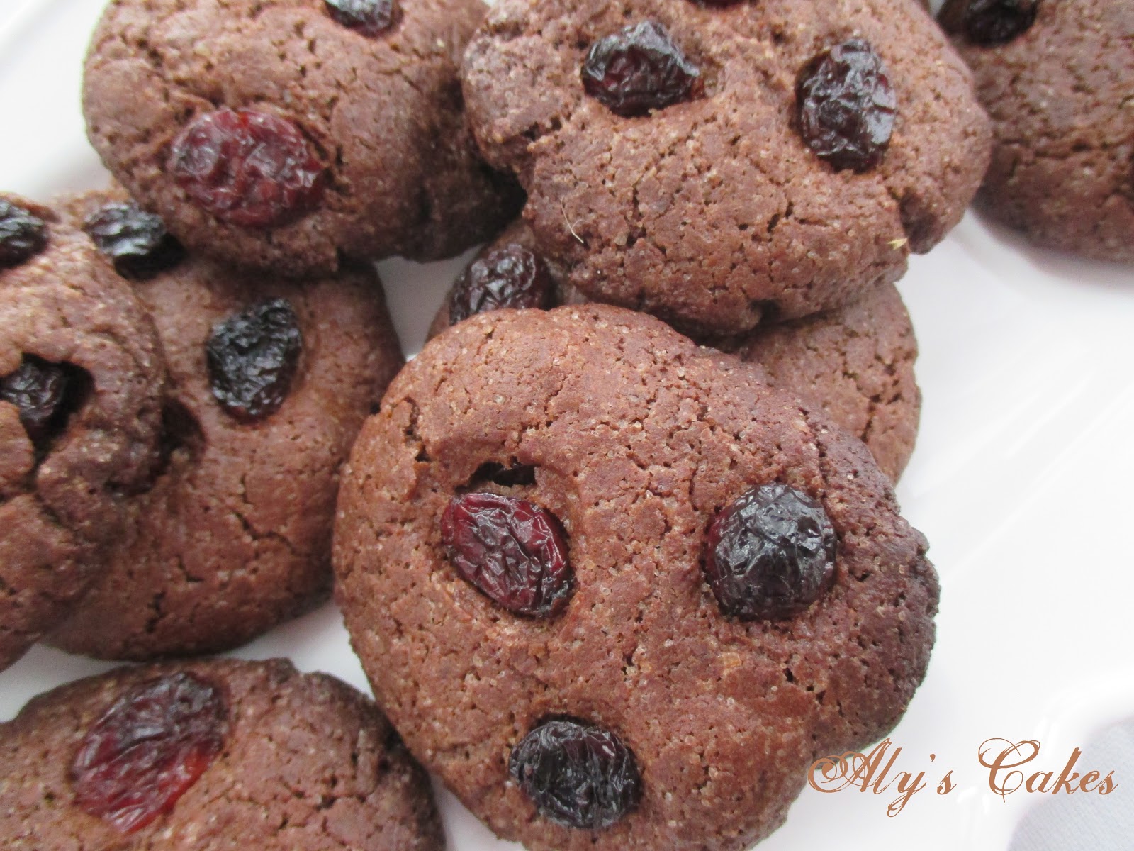 Aly's Cakes: GALLETAS DE CHOCOLATE Y ARÁNDANOS