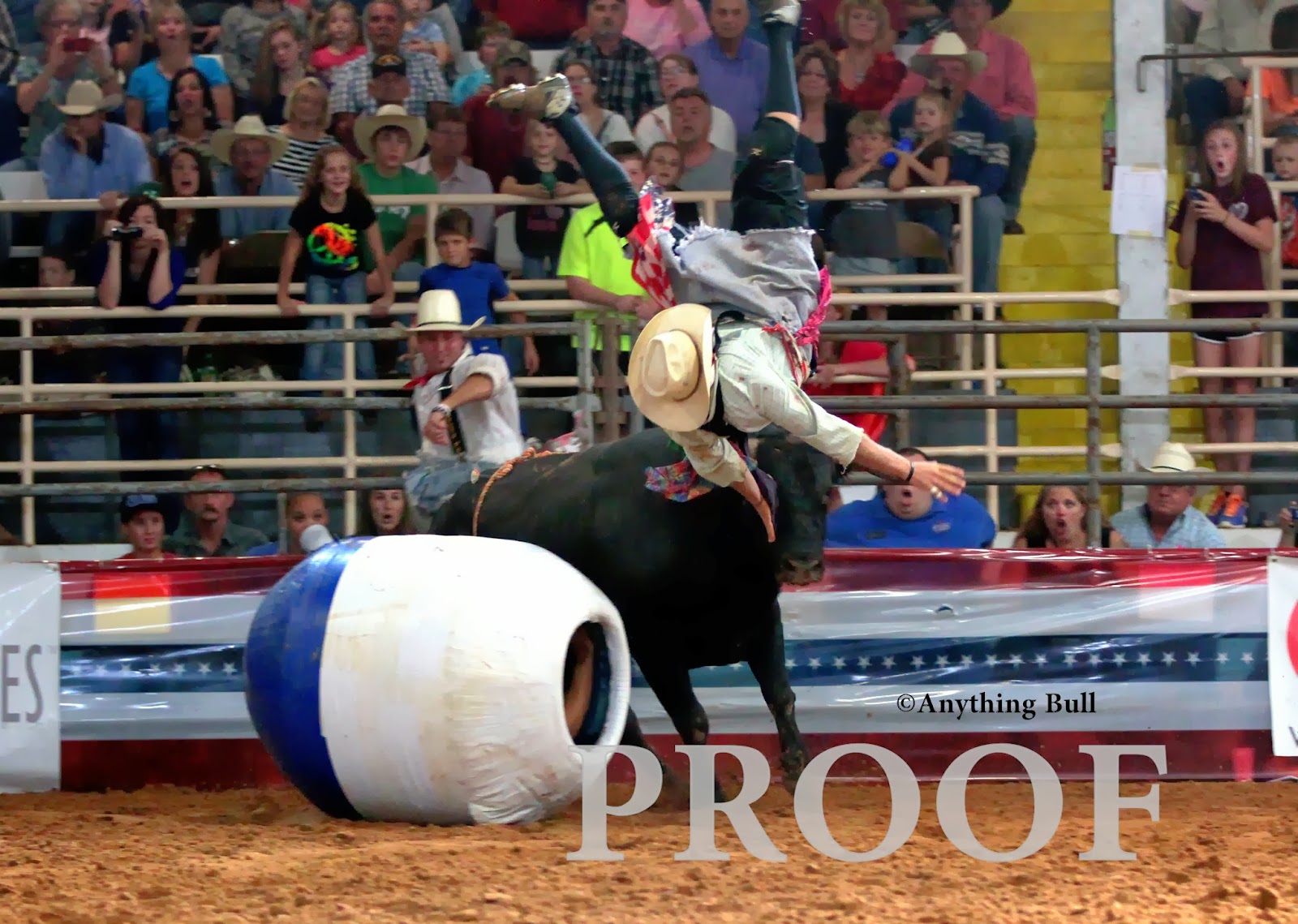 Anything Bull or Rusty: Saturday Round 4 - Clint Hopping