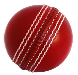 Lewk's Photos: Carrom Ball