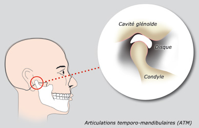 2-différentes variétés des diarthroses